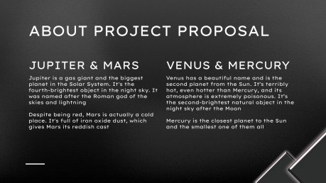 Elegant Simple Chrome - Project Proposal Basic Template