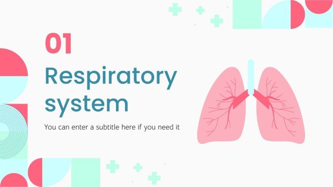 Science Subject for Middle School: Respiratory System