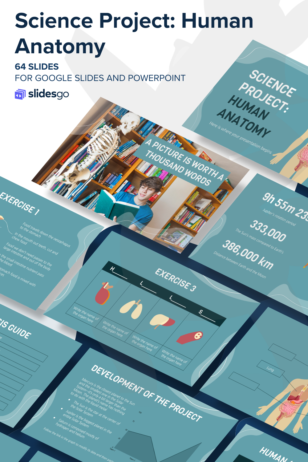 Science Project: Human Anatomy | Google Slides & PPT