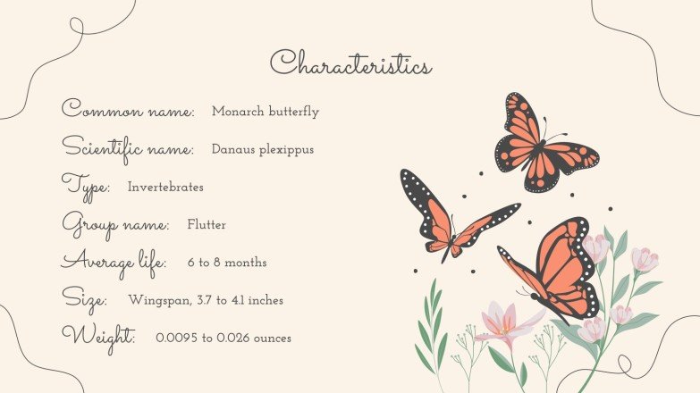 Ciencias para bachillerato: Mariposa monarca | Google Slides