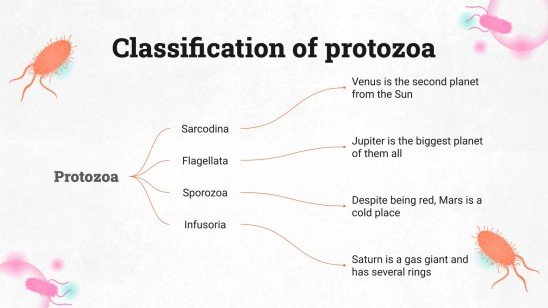 Microbiology Major for College: Parasitology