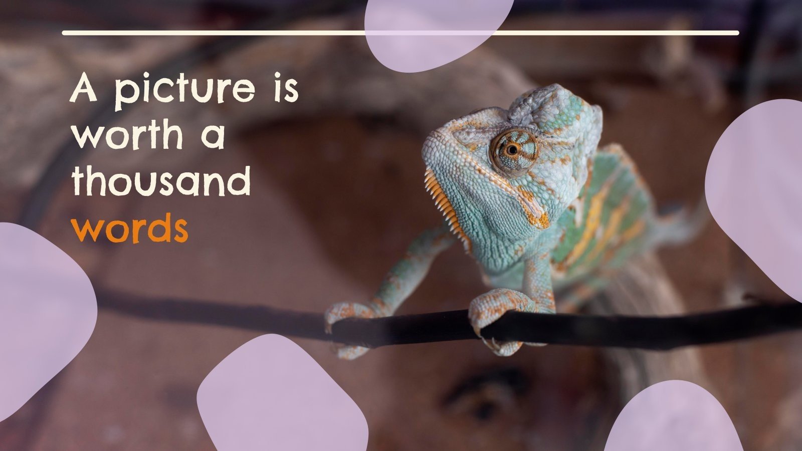 All About Reptiles: Activities for Elementary