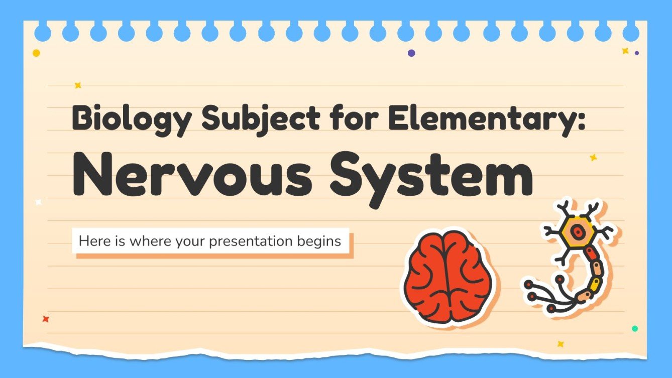 Biology for Elementary: Nervous System | Google Slides
