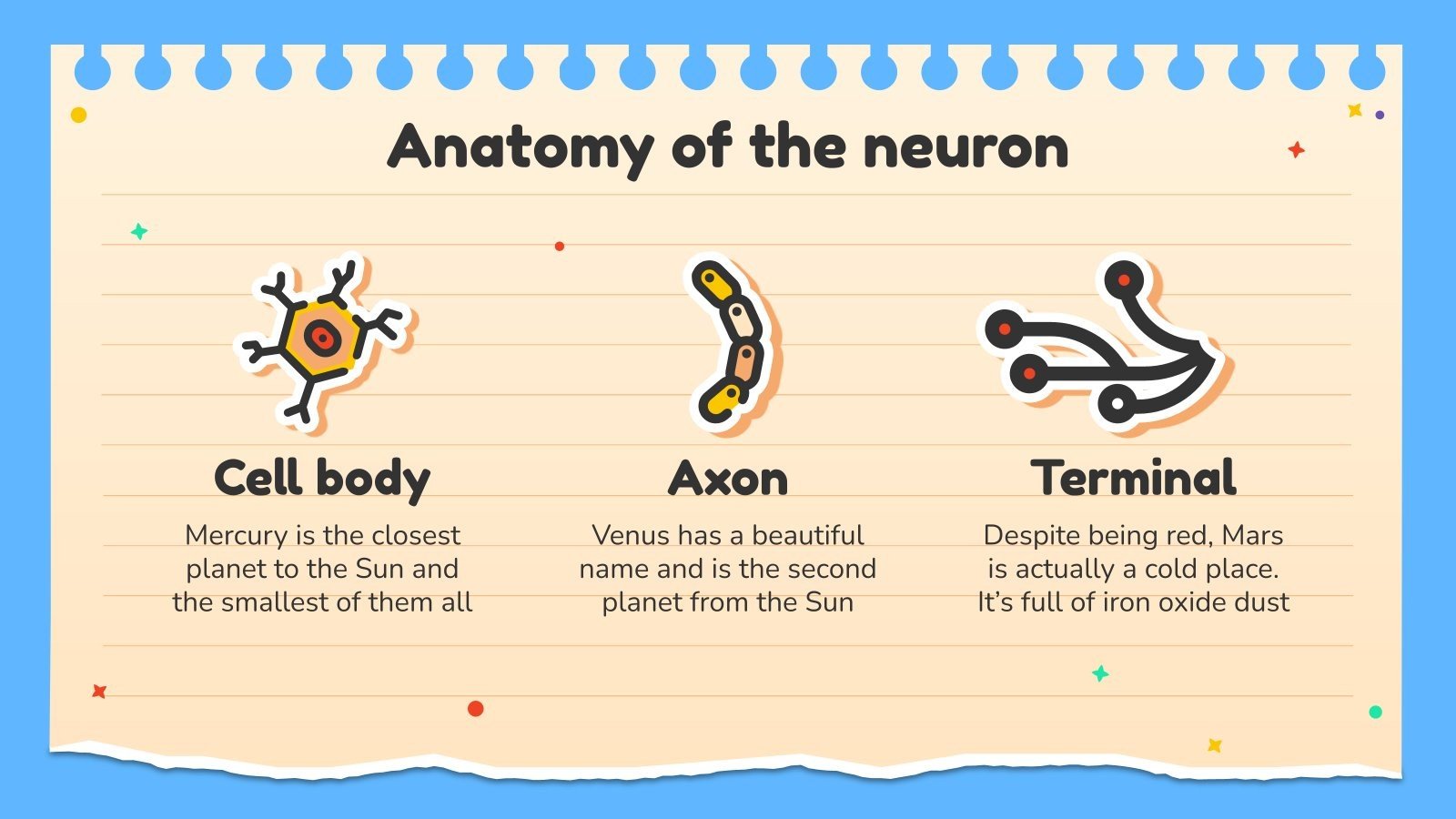 Biology for Elementary: Nervous System | Google Slides