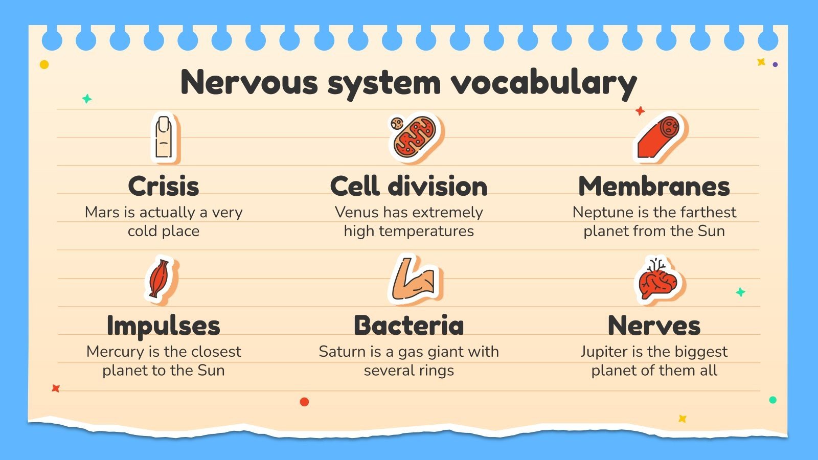 Biology for Elementary: Nervous System | Google Slides