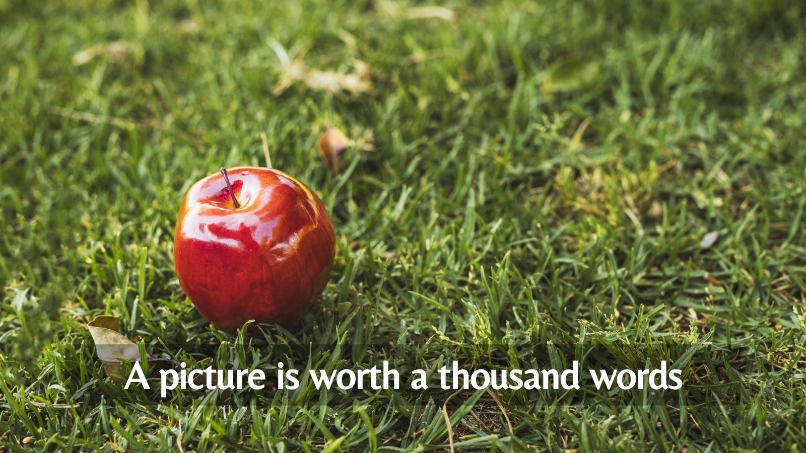 Adam and Eve Minitheme | Google Slides & PowerPoint