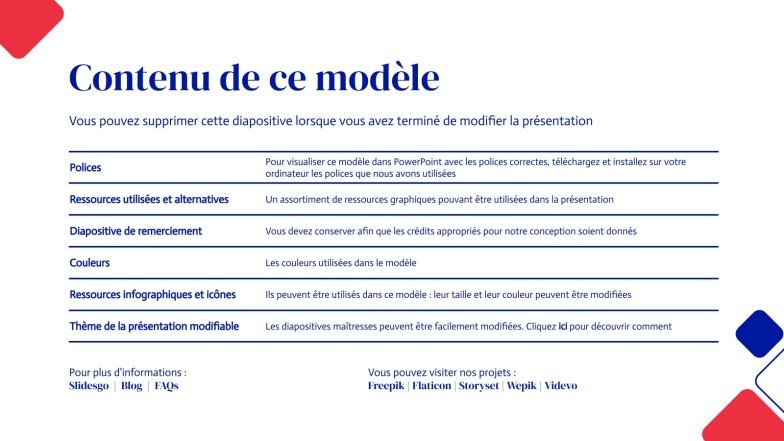 French Business Project Proposal | Google Slides & PPT