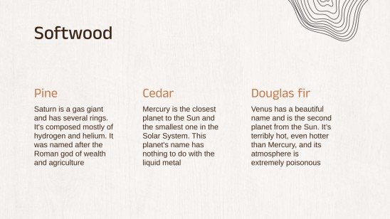 Types of Lumber | Google Slides & PowerPoint