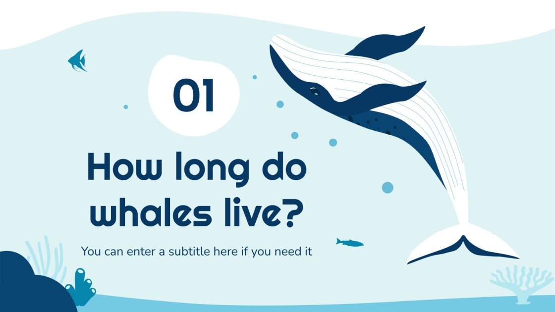 World Whale Day | Google Slides & PowerPoint