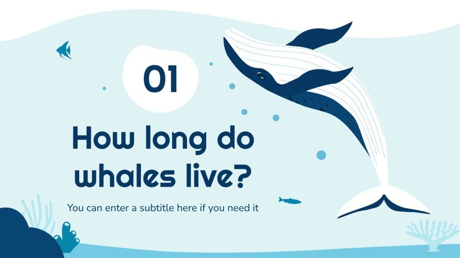 World Whale Day | Google Slides & PowerPoint