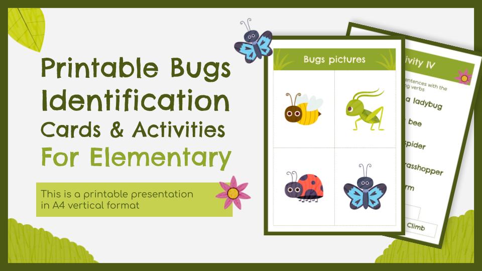 Printable Bug Identification Cards & Activities | Google Slides