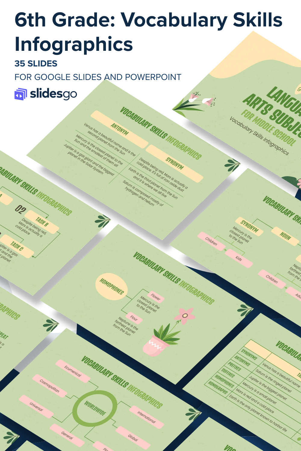 Middle School Language Arts: Vocabulary Skills Infographics