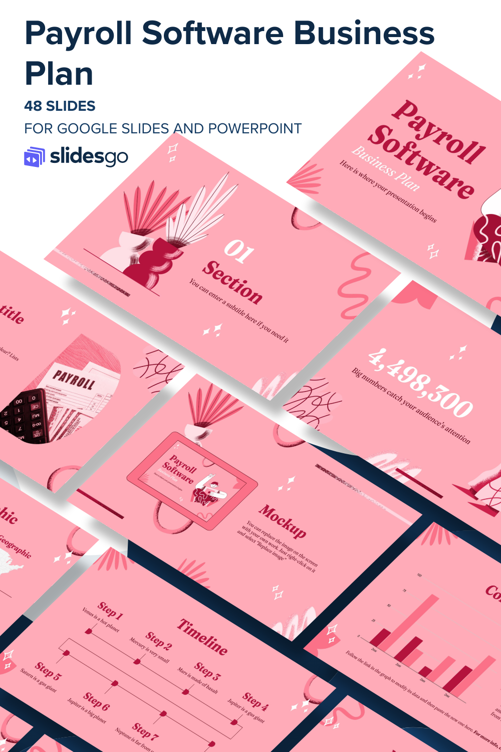 Payroll Software Business Plan | Google Slides & PPT