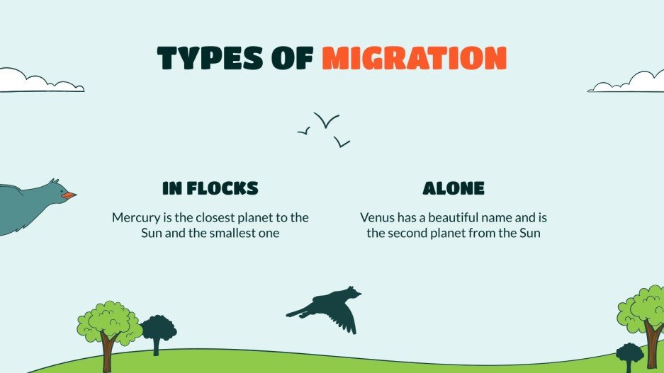 Biology for High School: Bird Migration | Google Slides