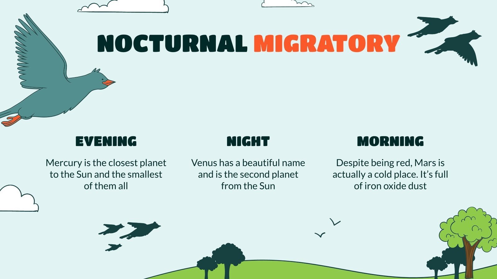 Biology for High School: Bird Migration | Google Slides