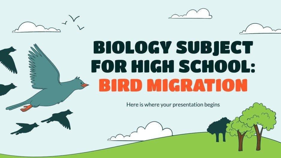 Free bird-based Google Slides & PowerPoint Templates