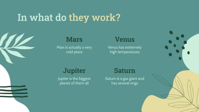 Bachelor's Degree in Environmental Science