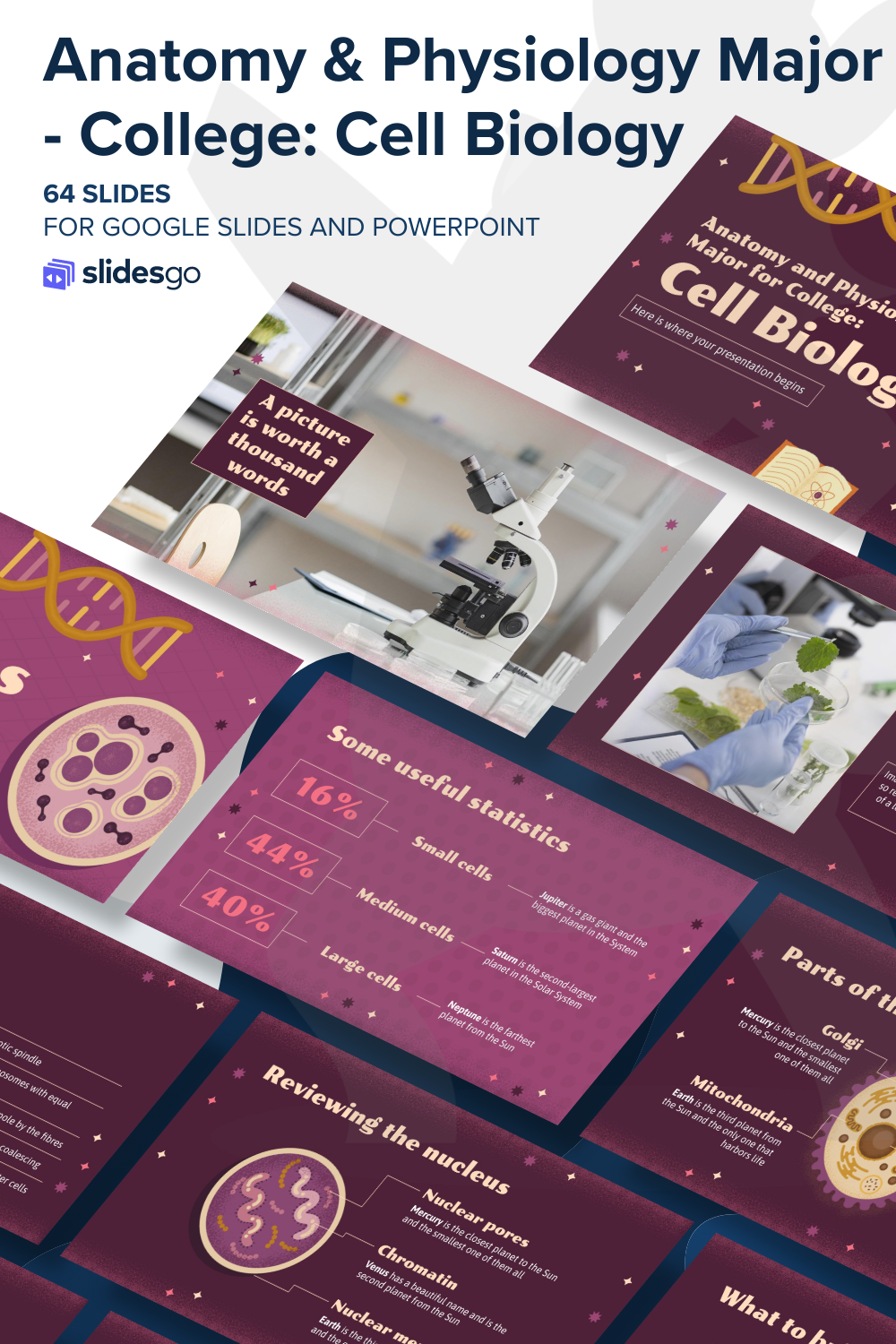 Anatomy and Physiology Major for College: Cell Biology