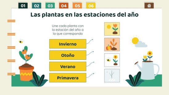 Actividades educativas de plantas para preescolar