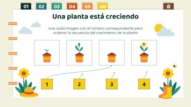 Actividades educativas de plantas para preescolar