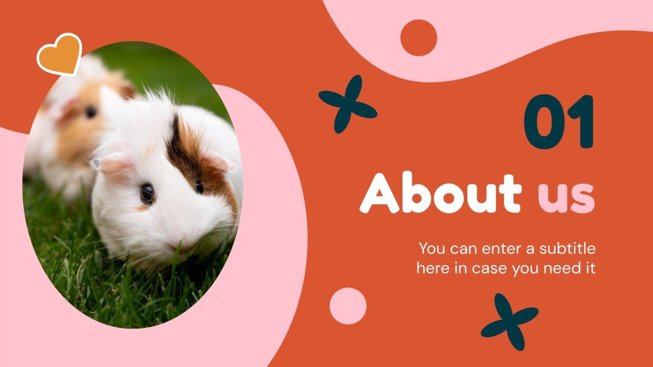 Adopt a Rescued Guinea Pig Campaign | Google Slides & PPT