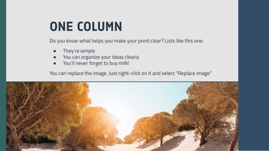 Geographical Business Project Proposal | Google Slides & PPT