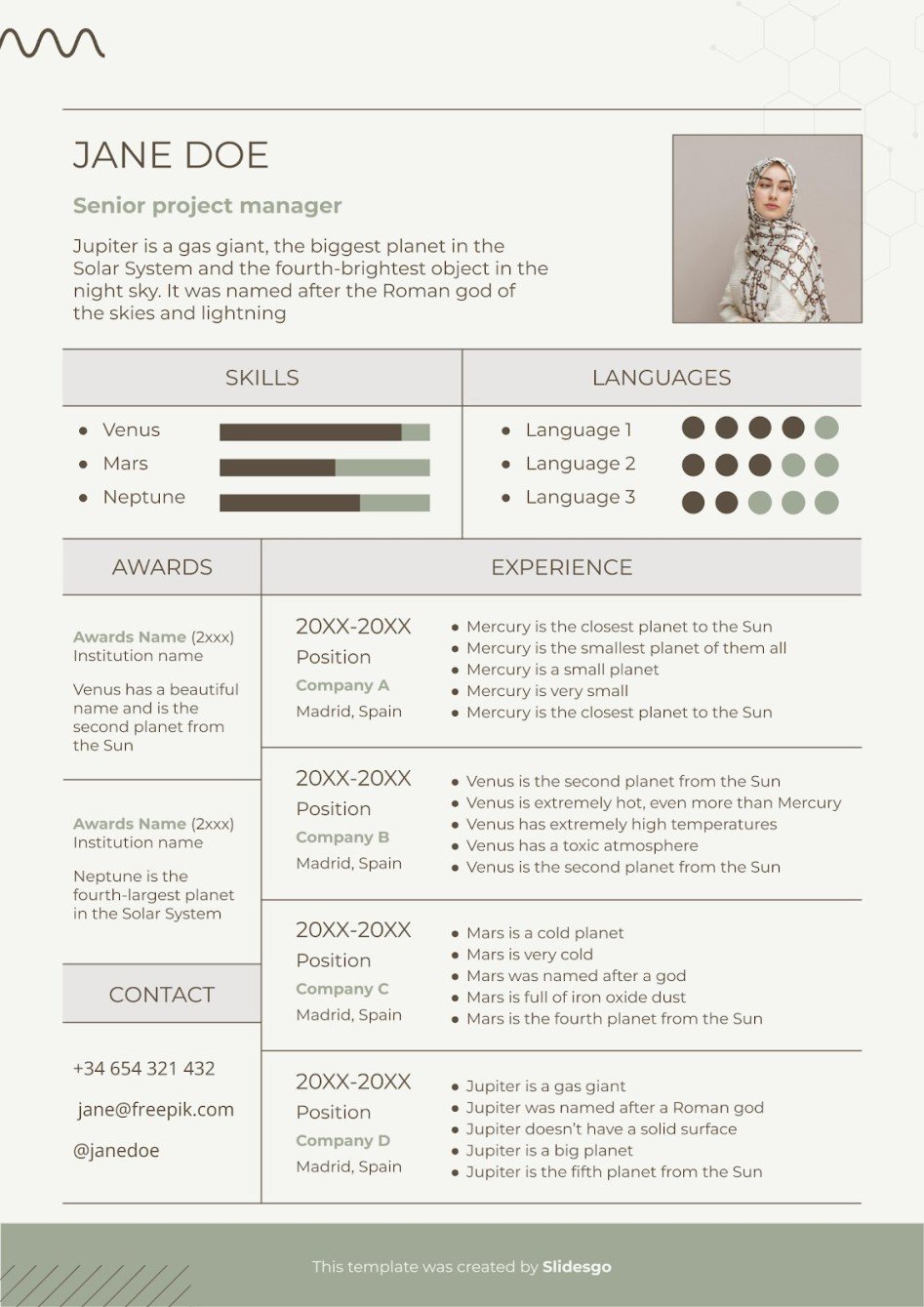 Senior Project Manager Cv Google Slides Ppt