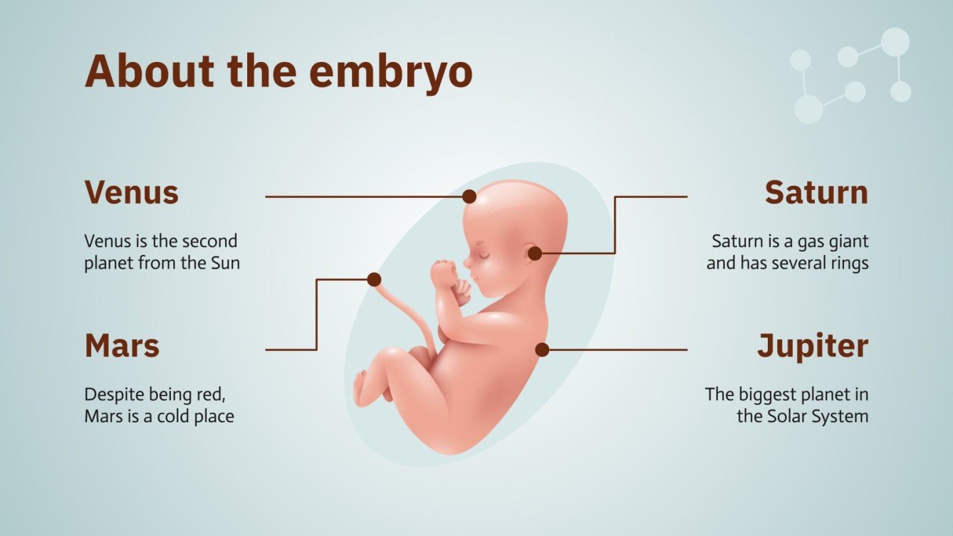 Embryology Case Study: Genome Edited Human Embryos