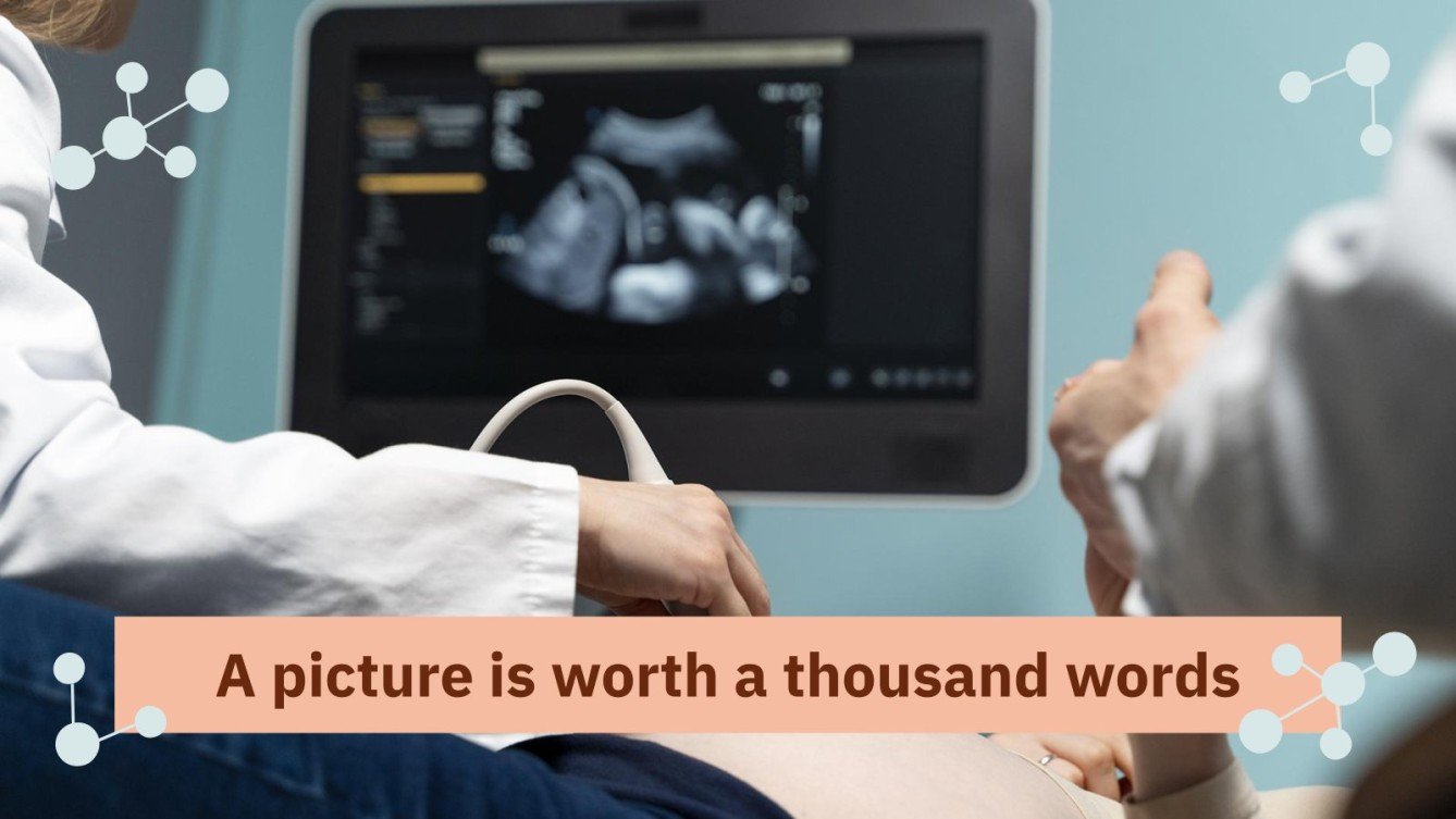 Embryology Case Study: Genome Edited Human Embryos