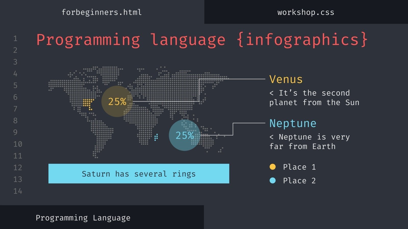Programming Language Workshop for Beginners Infographics