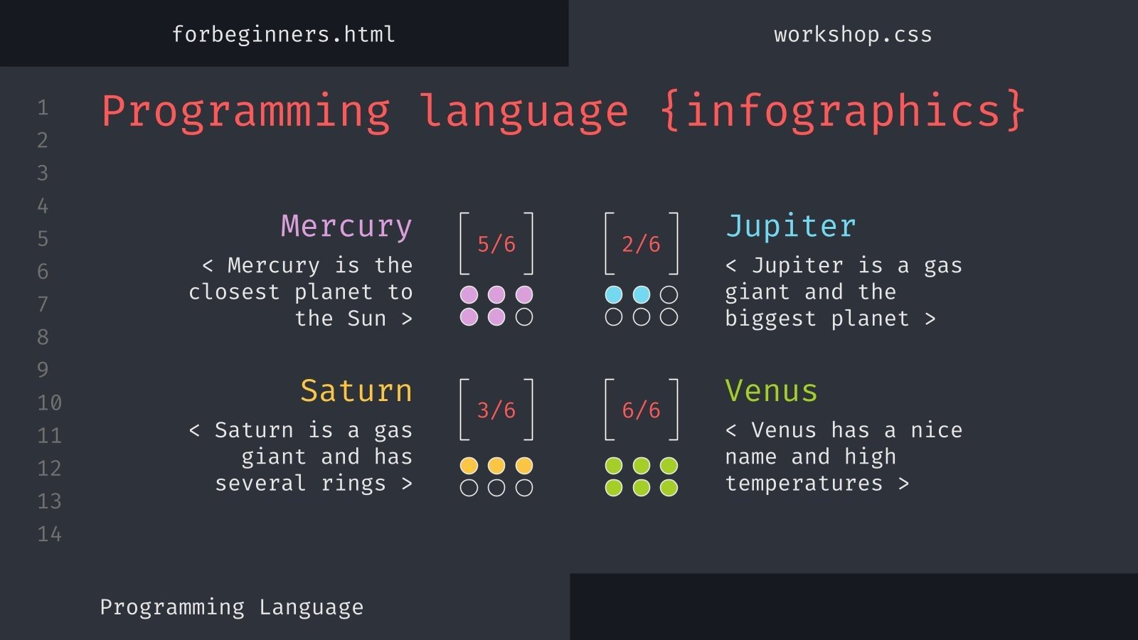 Programming Language Workshop for Beginners Infographics