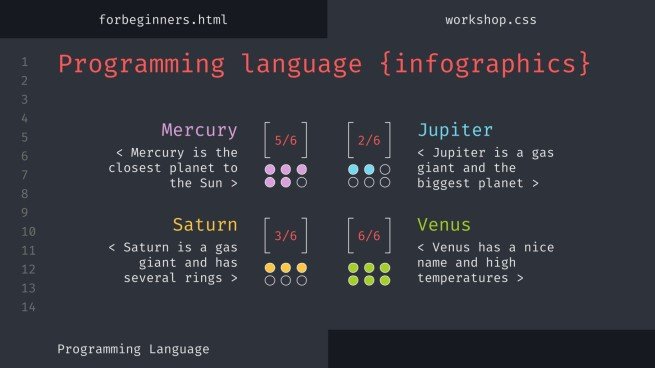 Programming Language Workshop for Beginners Infographics