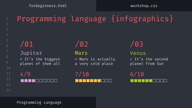 Programming Language Workshop for Beginners Infographics