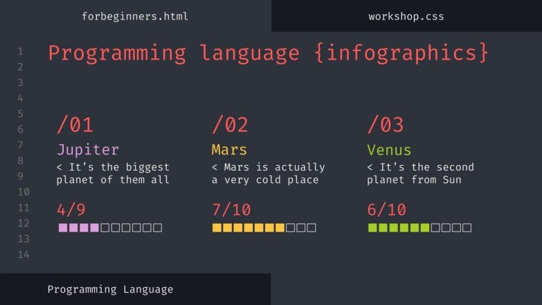 Programming Language Workshop for Beginners Infographics
