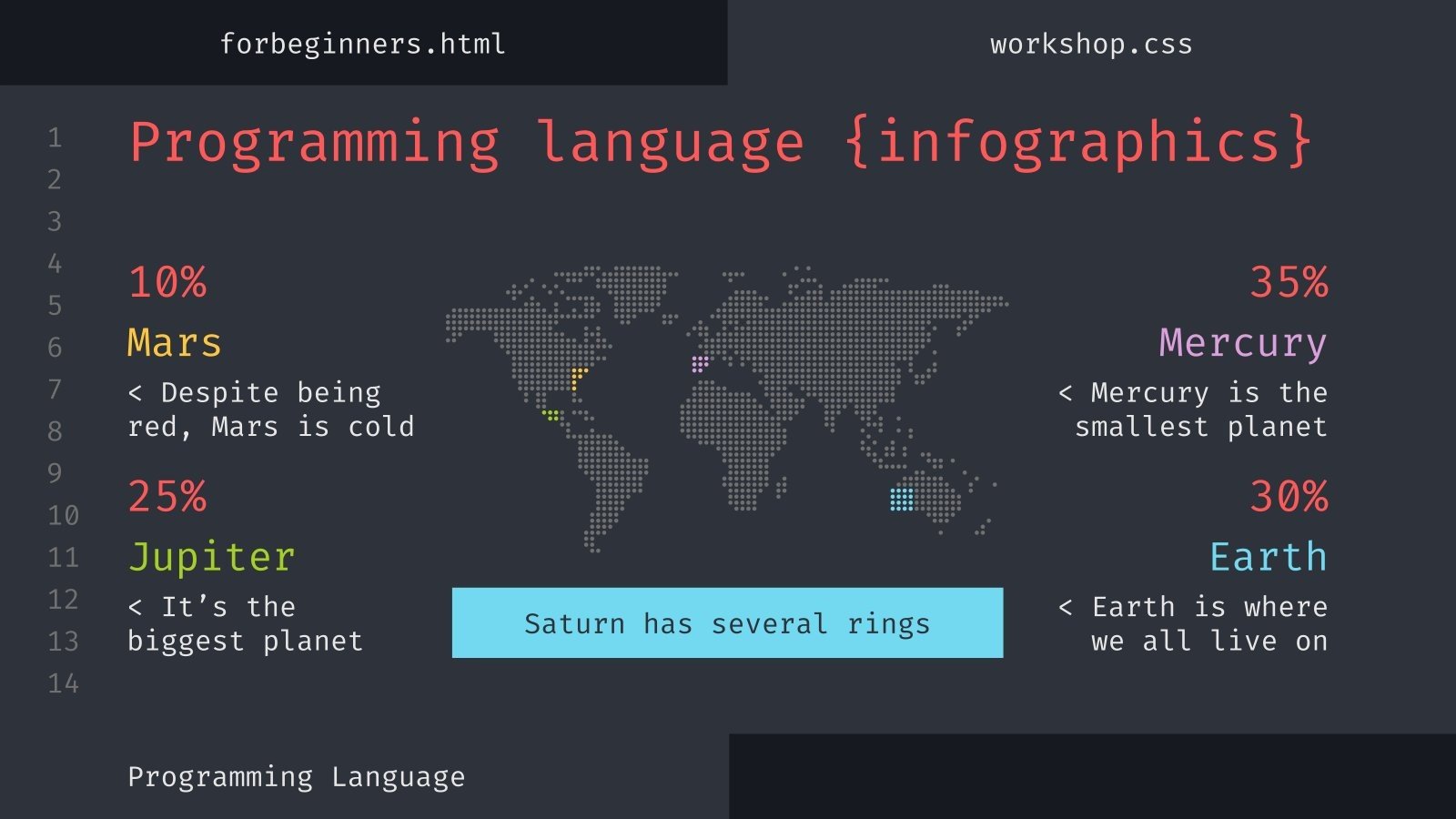 Programming Language Workshop for Beginners Infographics