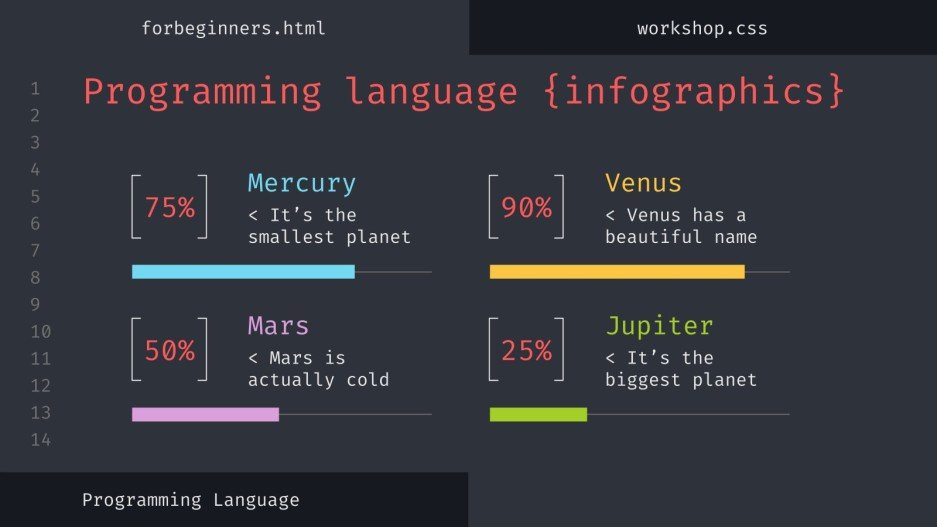 Programming Language Workshop for Beginners Infographics