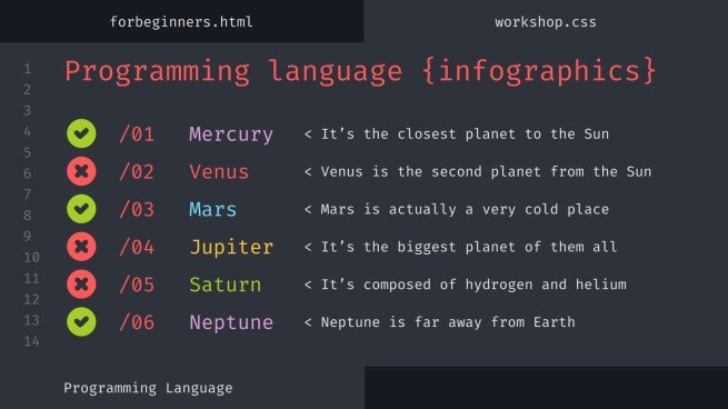 Programming Language Workshop for Beginners Infographics