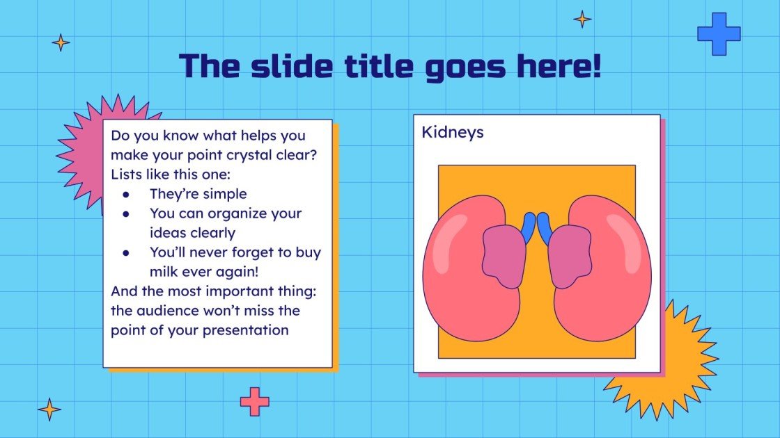 Anatomy Lesson for Middle School: The Organs | Google Slides