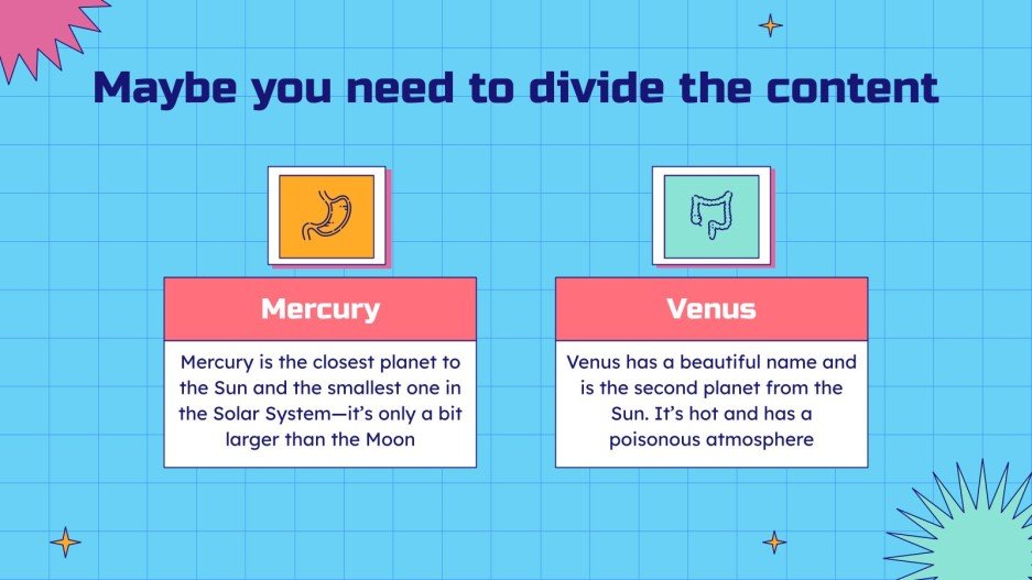 Anatomieunterricht für die Mittelstufe: Die Organe