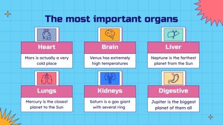Anatomy Lesson for Middle School: The Organs | Google Slides