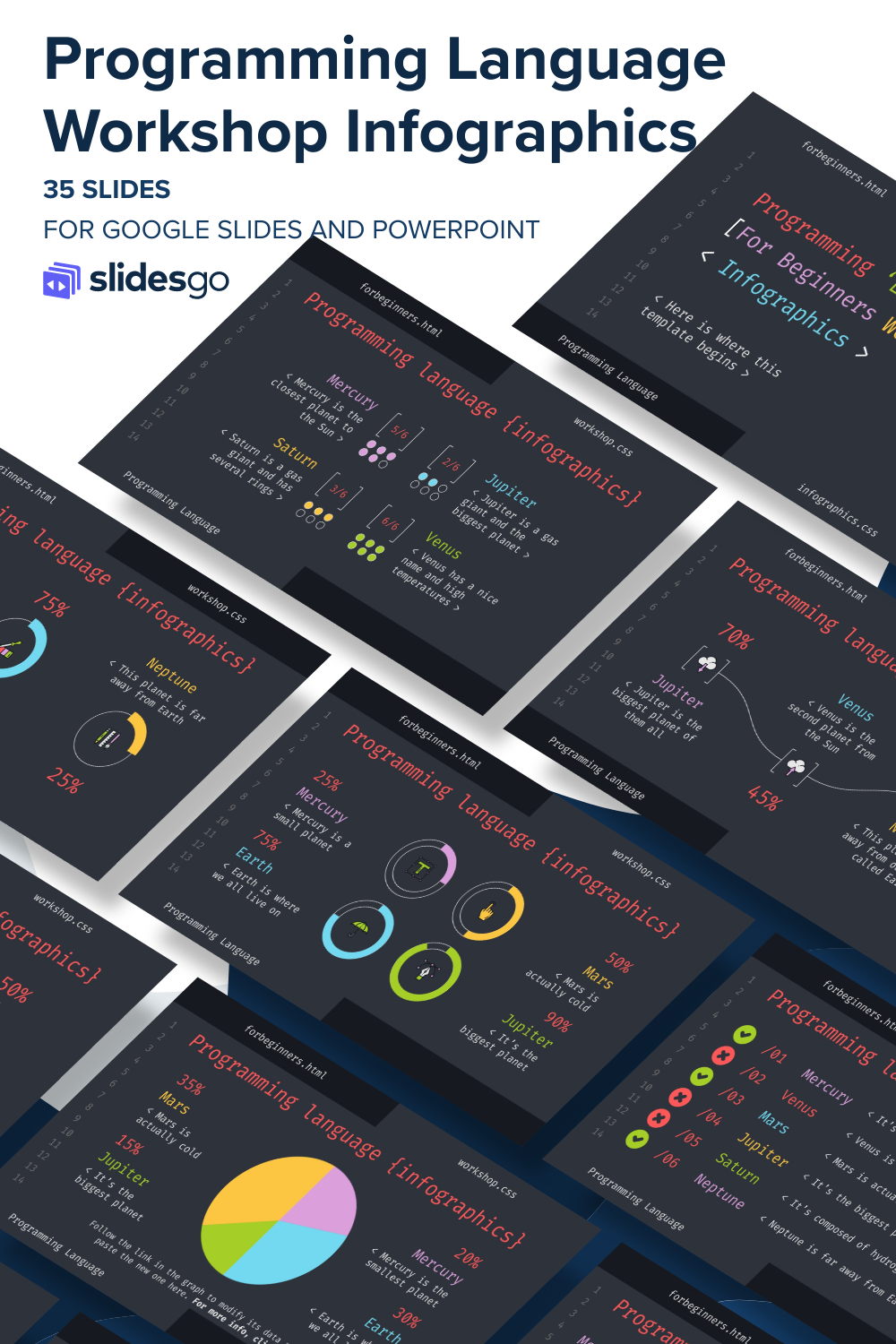 Programming Language Workshop for Beginners Infographics