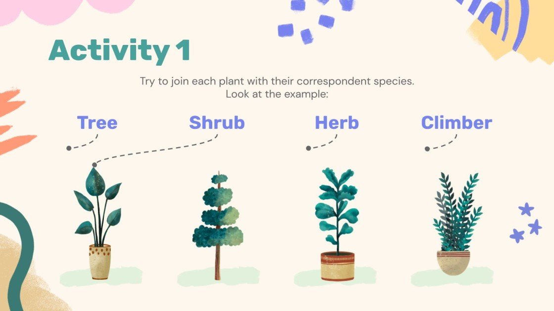 Science: Plant Classification Activities | Google Slides