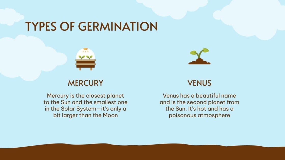 Science: Seed Germination | Google Slides & PowerPoint