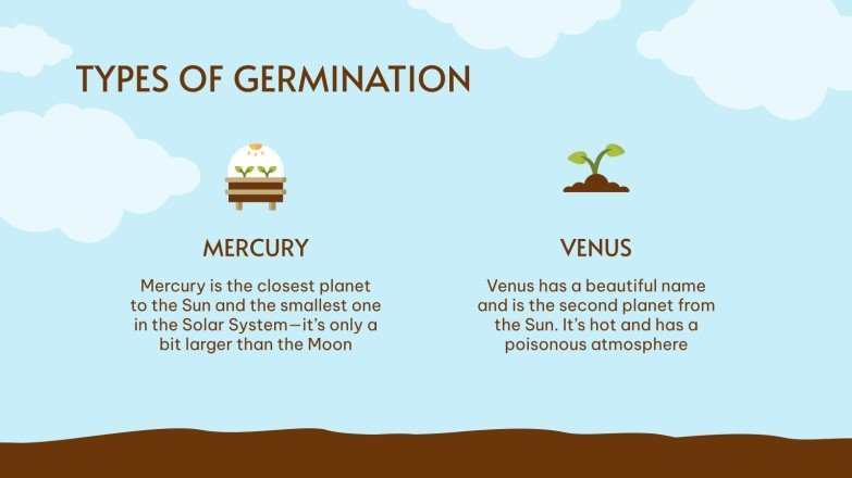 Science: Seed Germination | Google Slides & PowerPoint