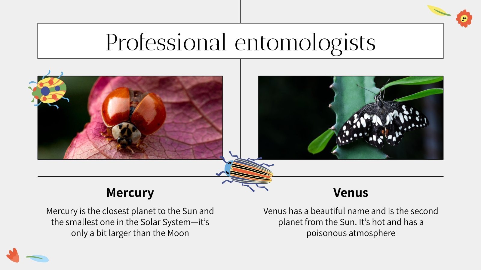 Grado en Biología: Entomología | Google Slides y PowerPoint