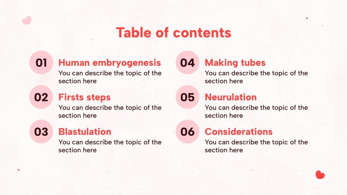 All About Embryology | Google Slides & PowerPoint
