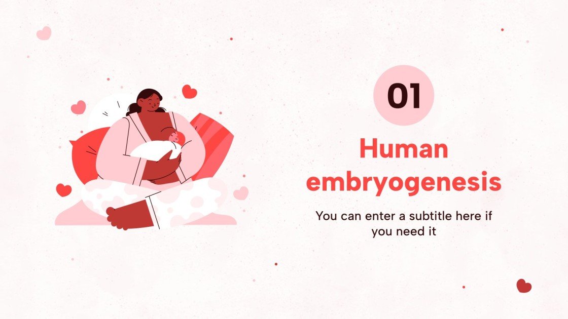 All About Embryology | Google Slides & PowerPoint