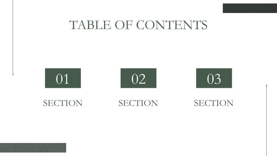 Sleek Modern Business Plan | Google Slides & PowerPoint