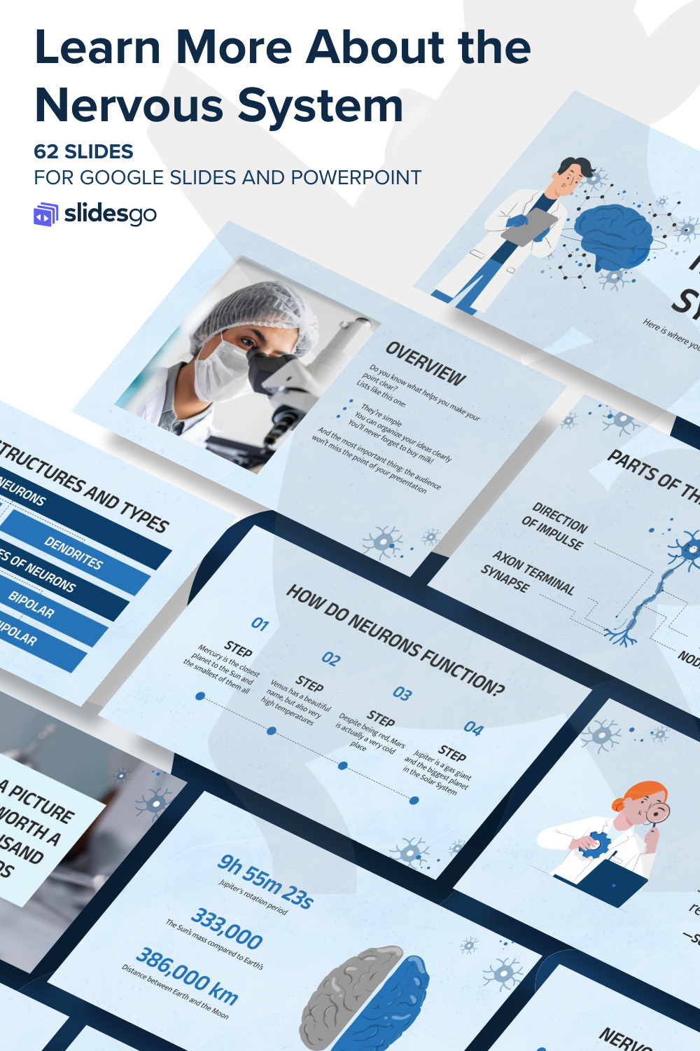 Learn More About the Nervous System | Google Slides & PPT