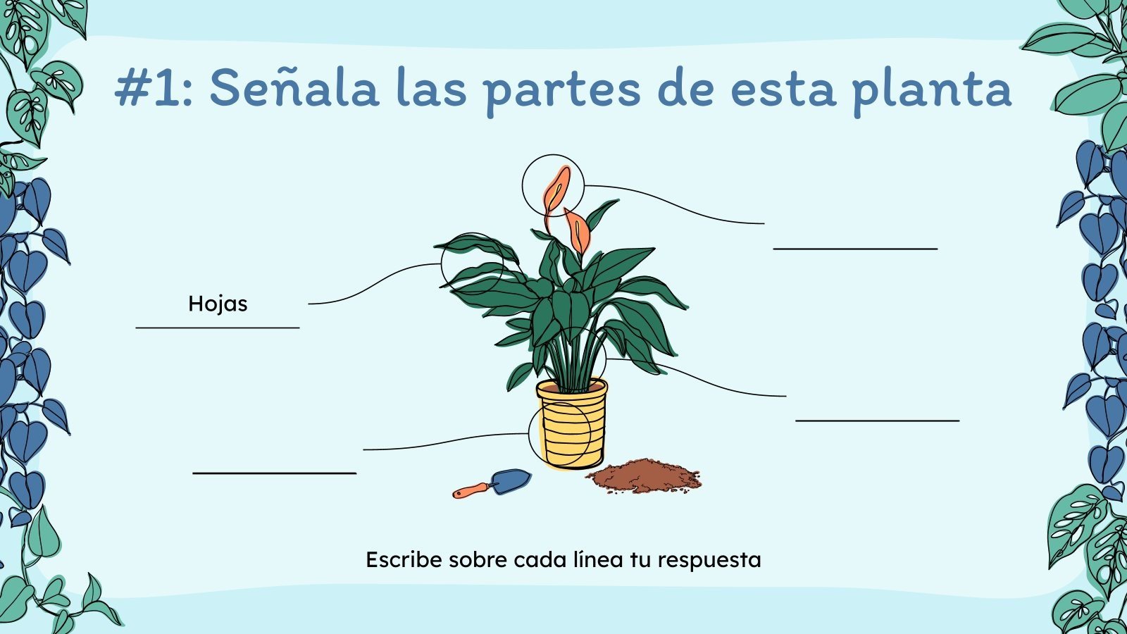 Actividades sobre las plantas y sus partes para primaria